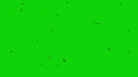 Horror Green Screen Stock Video Footage | Royalty Free Horror Green ...