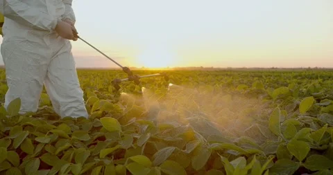 Pesticide Stock Videos – Royalty-Free HD & 4K Videos