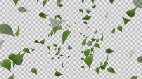 Spreading 3D Leaves - Alpha channel | Stock Video | Pond5