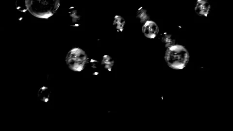 Bubbles Alpha Stock Video Footage | Royalty Free Bubbles Alpha Videos ...