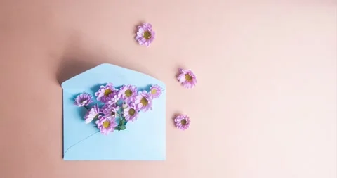 Spring Animated Background Stock Footage ~ Royalty Free Stock Videos ...