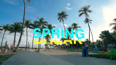 Miami Vice Stock Footage ~ Royalty Free Stock Videos | Pond5