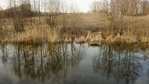 Spring duck hunting, a hunter hidden in ... | Stock Video | Pond5