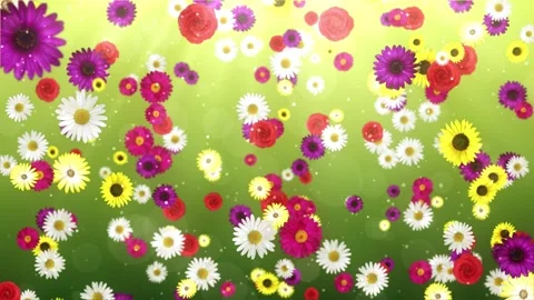 Falling Flowers Background Stock Videos – Royalty-Free HD & 4K Videos ...