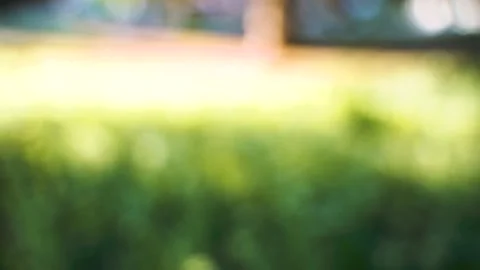 Baby_Bee999 Video Stock Videos – Royalty-Free HD & 4K Videos | Pond5