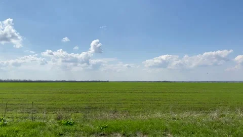 Spring landscape. A field with green gra... | Stock Video | Pond5