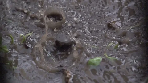 Spring Rain Stock Footage ~ Royalty Free Stock Videos | Pond5