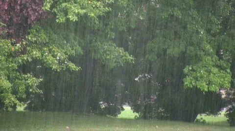 Pouring Rain Stock Video Footage | Royalty Free Pouring Rain Videos | Pond5