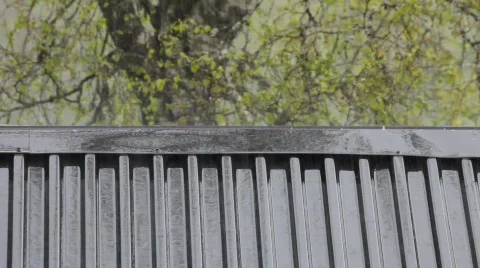 Rain Pattered Stock Videos – Royalty-Free HD & 4K Videos | Pond5