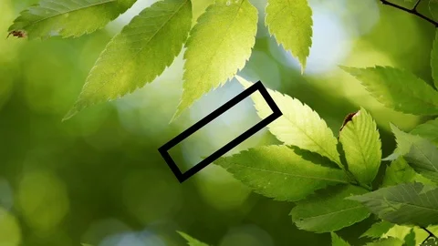 Spring Animated Background Stock Footage ~ Royalty Free Stock Videos ...