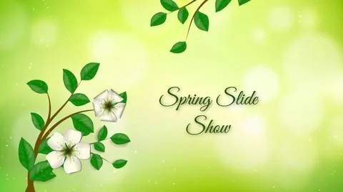 After Effects Template: Spring Slide Show #103402633 | Pond5