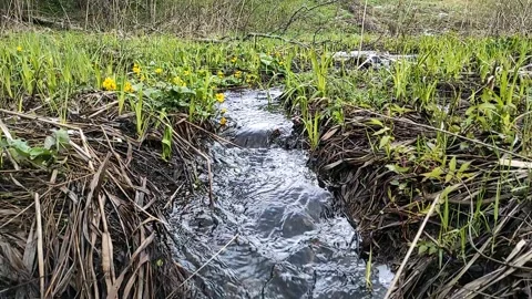 60 5= Stock Videos – Royalty-Free HD & 4K Videos | Pond5