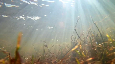 Underwater God Rays Stock Video Footage | Royalty Free Underwater God ...