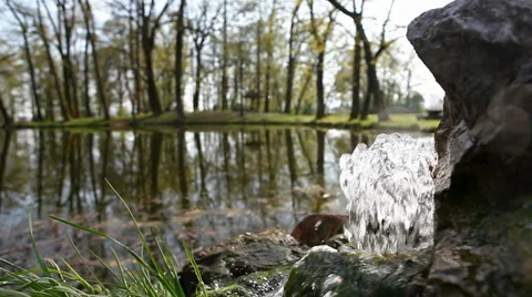Spring water by the lake | Stock Video | Pond5