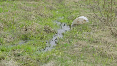Spring water pollution in grass field wi... | Stock Video | Pond5