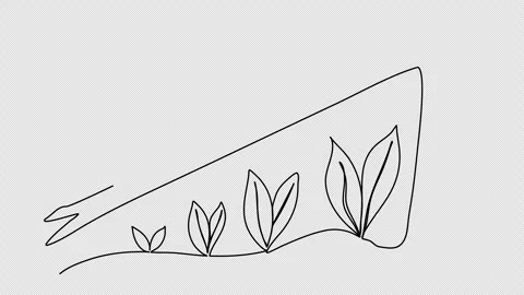 Seed Growing Video Stock Videos – Royalty-Free HD & 4K Videos | Page 2