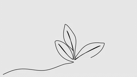 Sprout, one line drawing animation. Vide... | Stock Video | Pond5