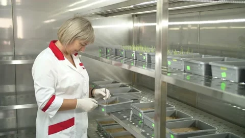Seed Laboratory Stock Footage ~ Royalty Free Stock Videos | Pond5