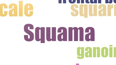 Squama Stock Video Footage | Royalty Free Squama Videos | Pond5