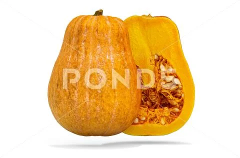 Squash, cross-section. 3d rendering with realistic texture: Royalty ...