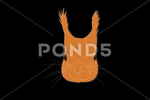 Squirrel drawing. Squirrel head full face. Simple line drawing of a ...