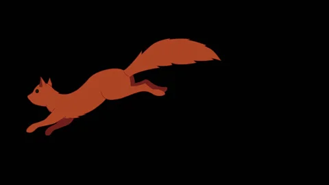 Squirrel Run Animation Full HD 29.97 | Stock Video | Pond5