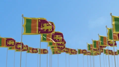 Sri Lanka Row Of Flags Animation | Stock Video | Pond5