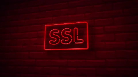 ssl Neon Sign on Brick Wall Background. | Stock Video | Pond5