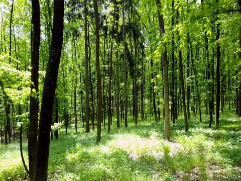 Walk Summer Stock Videos – Royalty-Free HD & 4K Videos