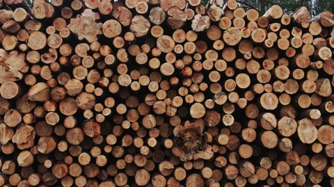 Stacked wood pine timber background. def... | Stock Video | Pond5