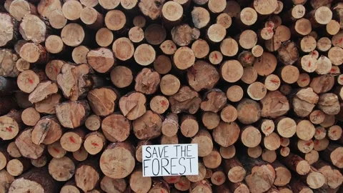 Stacked wood pine timber background. def... | Stock Video | Pond5