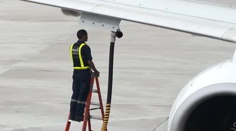 Staff Add On Stock Videos – Royalty-Free HD & 4K Videos