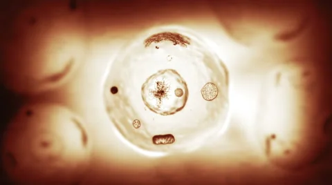 My Background Stock Videos – Royalty-Free HD & 4K Videos | Pond5