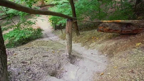 Stairs Trees Mountains Stock Videos – Royalty-Free HD & 4K Videos | Pond5