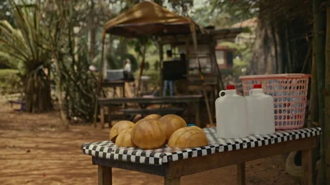 Stall Water Stock Videos – Royalty-Free HD & 4K Videos