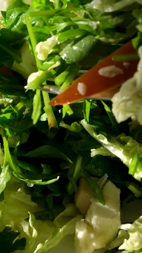 Monitor Modern Salad Stock Videos – Royalty-Free HD & 4K Videos
