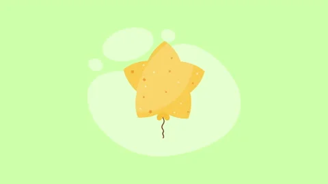 star balloon helium floating animation | Stock Video | Pond5