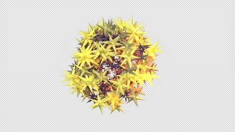 star fireworks ,animation transparent ba... | Stock Video | Pond5