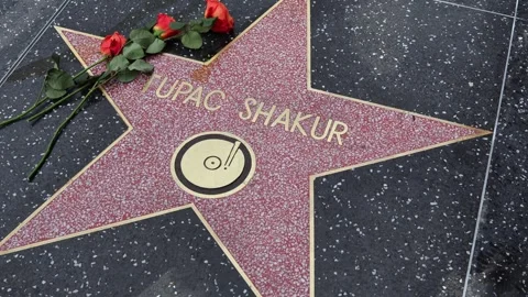 Star of Tupac Shakur on the Hollywood Wa... | Stock Video | Pond5