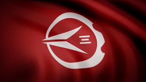 Star Wars. Havoc Squad flag is waving on... | Stock Video | Pond5