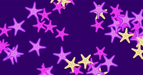 Starfish Collection Animation Stock Video Footage | Royalty Free ...