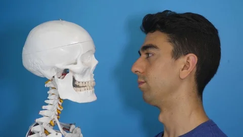 Skeleton Face Stock Video Footage | Royalty Free Skeleton Face Videos ...