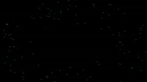Stars Alpha Stock Footage ~ Royalty Free Stock Videos | Pond5