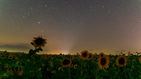Stars are moving in the night sky over t... | Stock Video | Pond5
