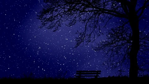 Black Stars With Stock Videos – Royalty-Free HD & 4K Videos | Page 3