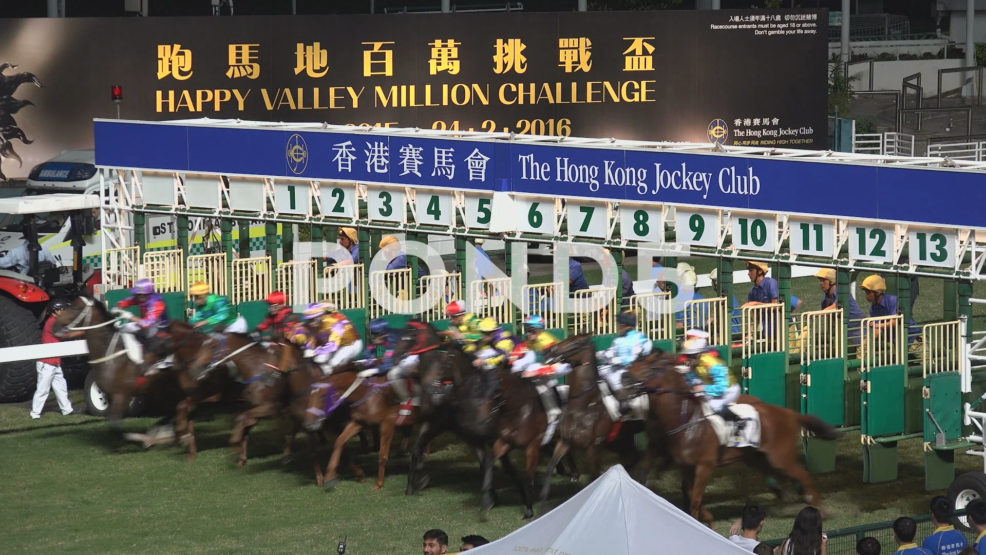 Starting Gate Horse Racing 132268best Starting Gate Horse Racing