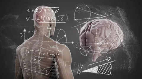 Torso Model Stock Videos – Royalty-Free HD & 4K Videos