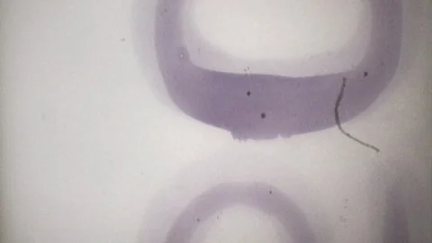 Film Start F Stock Videos – Royalty-Free HD & 4K Videos