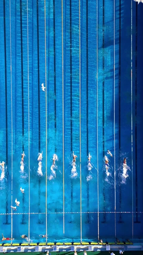 Start Swimming Stock Videos – Royalty-Free HD & 4K Videos