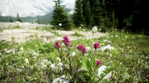 Transition Step Down Stock Videos – Royalty-Free HD & 4K Videos